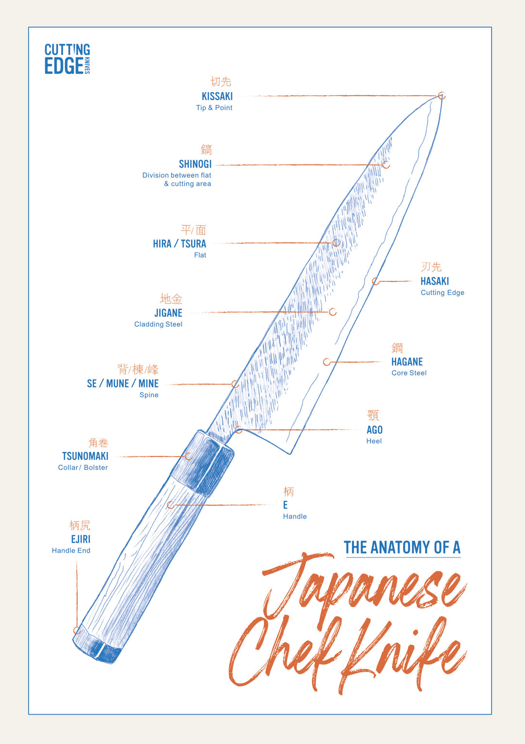 Anatomy of a chef knife poster – Cutting Edge Knives